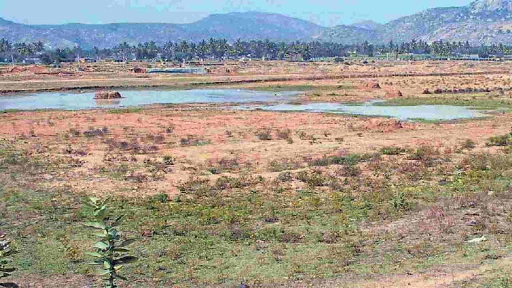 478 Lakes dried up in Bengaluru Due To Rains in July