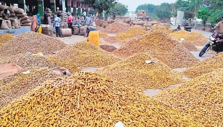 Turmeric Board In Nizamabad Back On The Screen