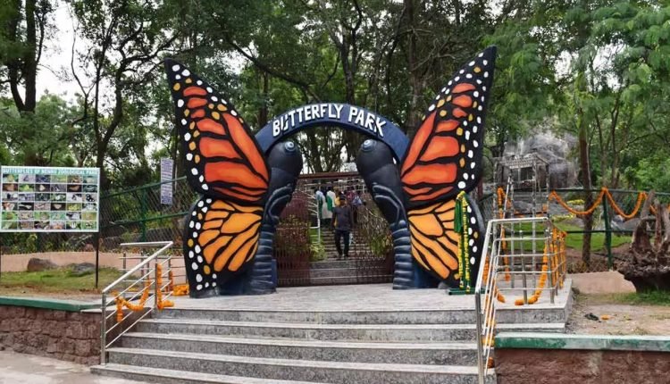 ‘Insect World’ Inaugurated At The Nehru Zoo Park
