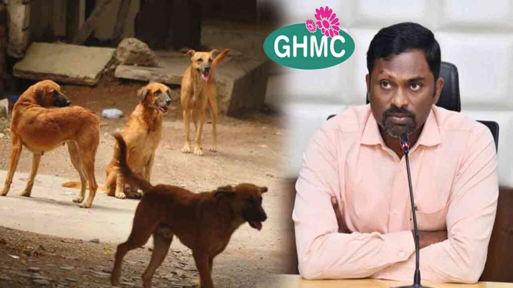 Stray Dog Attacks: GHMC Takes Strong Action