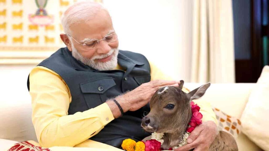 A New Member In PM Modi Family