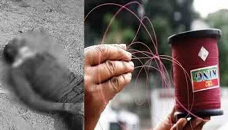 Chinese Manja Death Shocks Sangareddy District